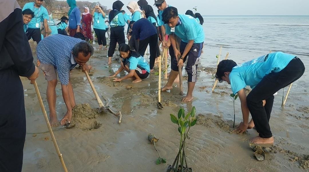 Mahasiswa UTM dan HMJH UNESA Tanam Mangrove bersama Warga di Pantai ...